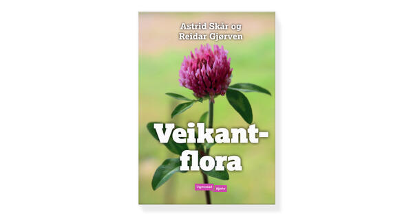 Veikantflora Vigmostad Bjørke Veikantflora - DNTbutikken